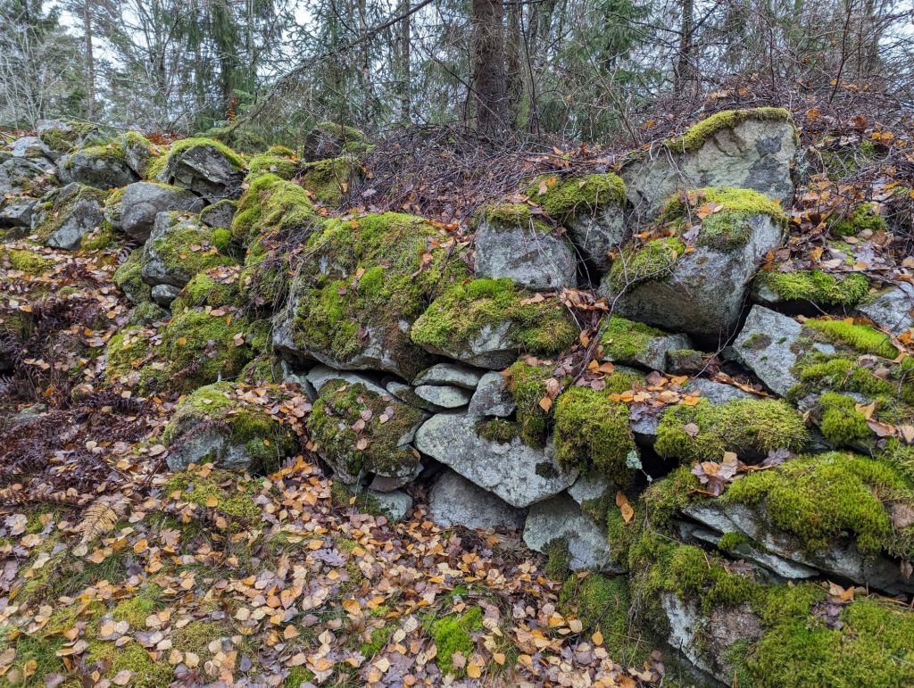 Salem 299 Männö – Fornborgar i Mälardalen