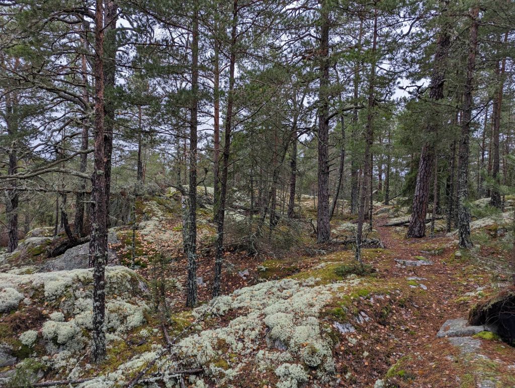 Salem 299 Männö – Fornborgar i Mälardalen