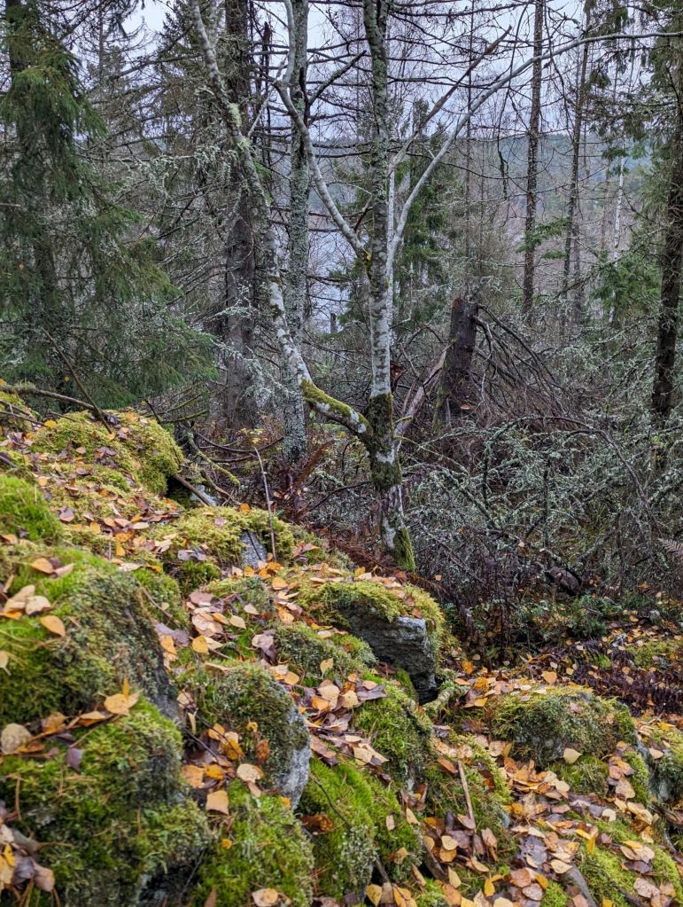 Salem 299 Männö – Fornborgar i Mälardalen